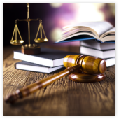 Litigation Antonis Paschalides & Co.LLC